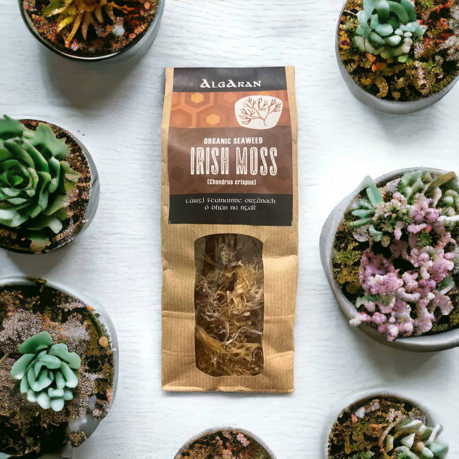 Organic Irish Moss Carragheen (Chondrus crispus) RED